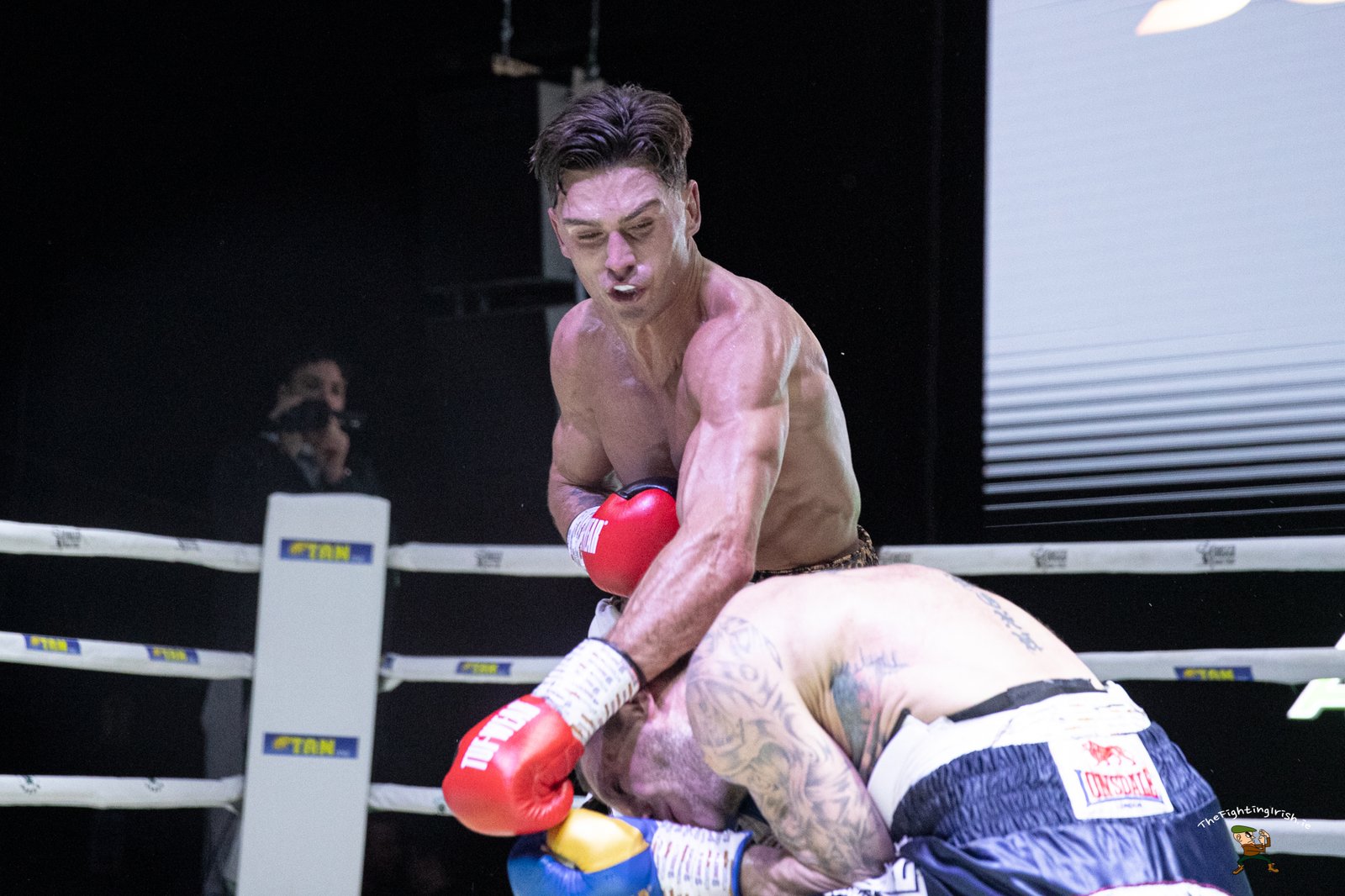 More than a pretty face - Jay Byrne praises 'real star' Lee Reeves ...