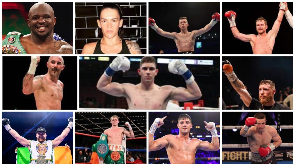 From MSG to Mayo - Insane action-packed Paddy's week for Irish-boxing ...