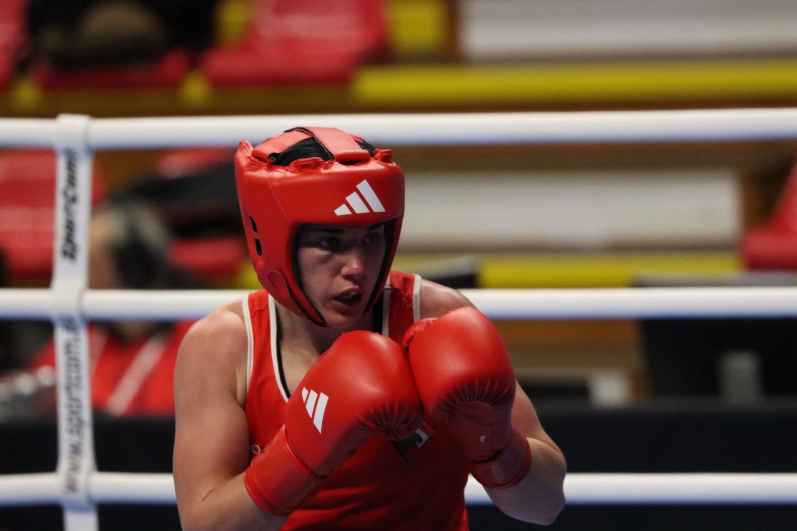 Elite Competition Set for Belfast - Irish Boxing